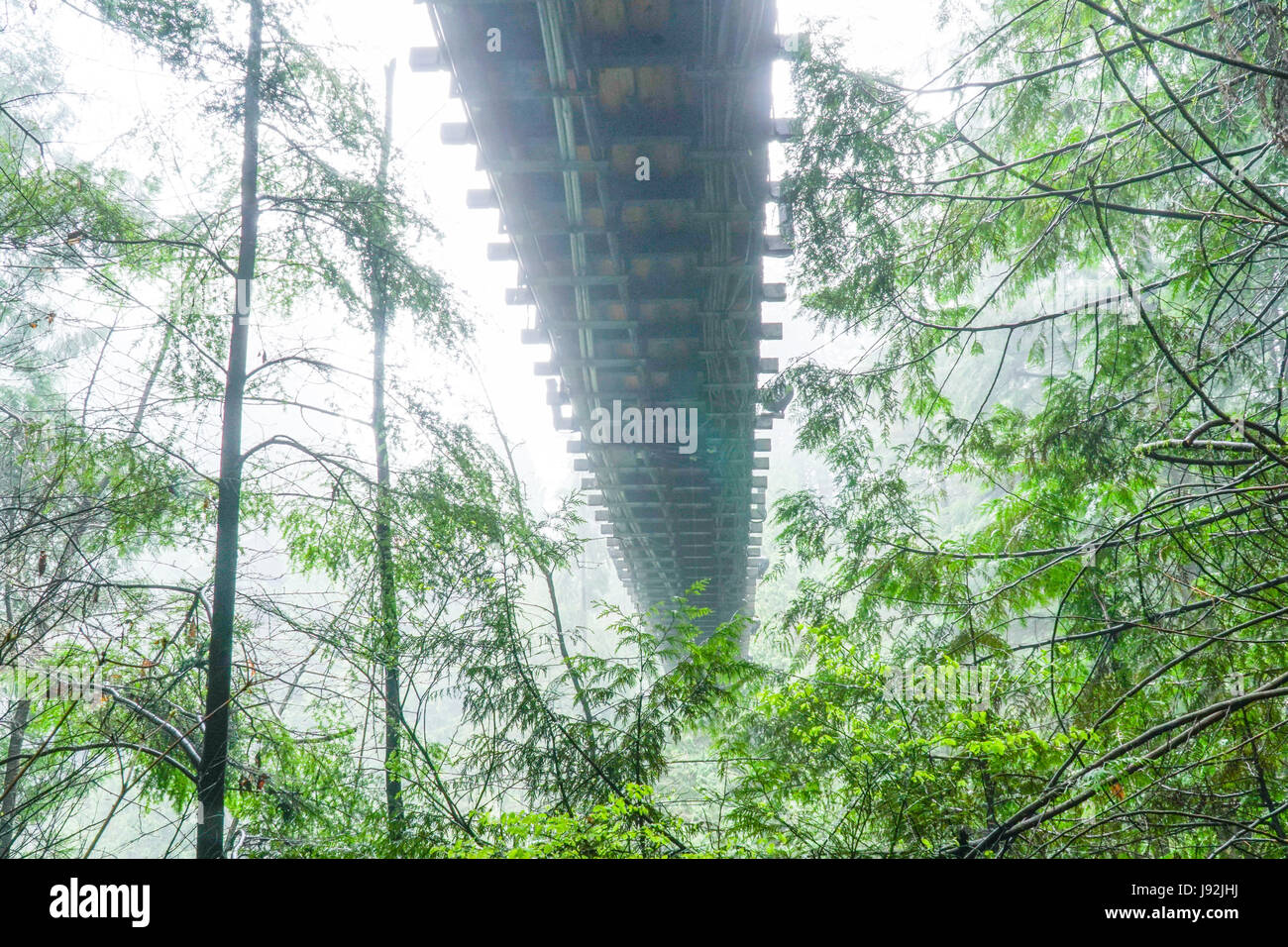 The Capilano Suspension Bridge in the mist CANADA Stock Photo - Alamy