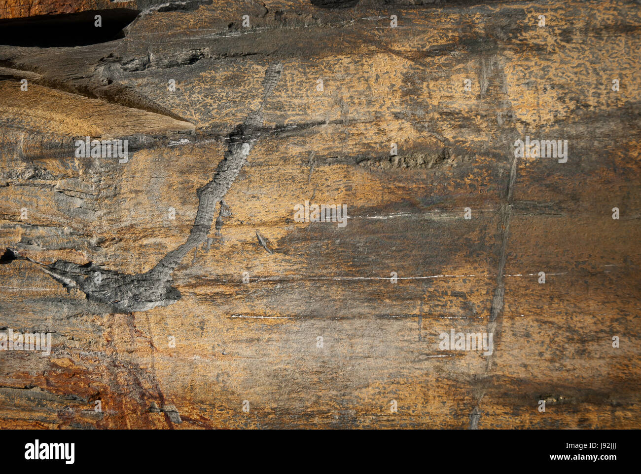stone, science, ground, soil, earth, humus, brown, brownish, brunette ...