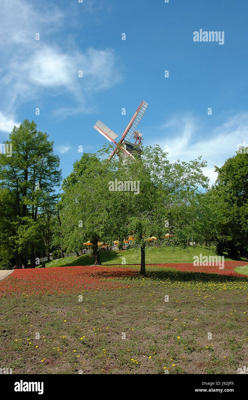 tree, park, mill, bremen, nature, park, windmill, mill, mills, bremen ...