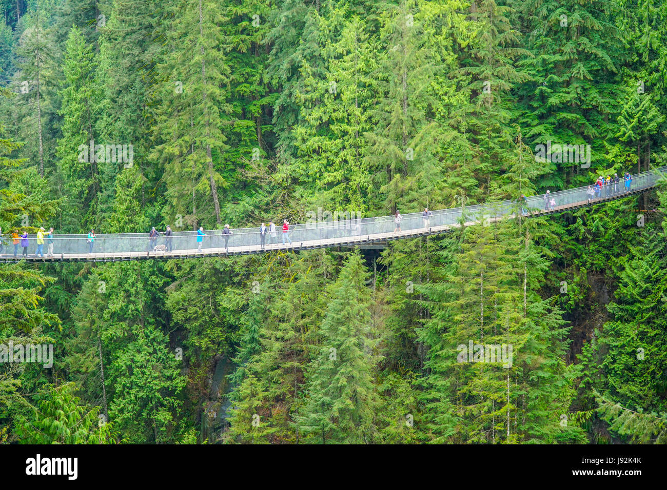 Capilano Suspension Bridge in Canada CANADA Stock Photo - Alamy