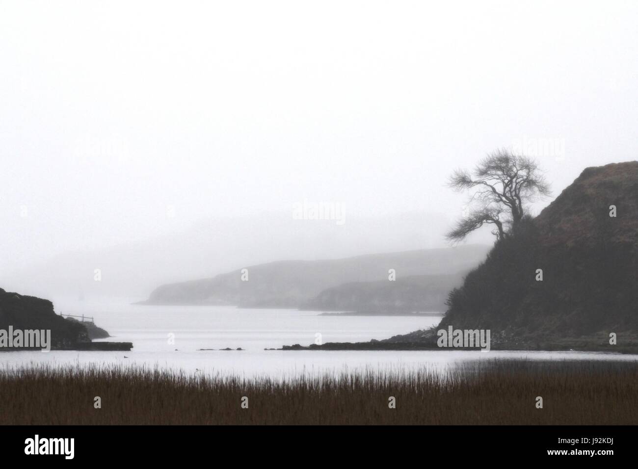 spooky, hole, monochrome, monotonous, fog, coast, mysterious, mystic ...