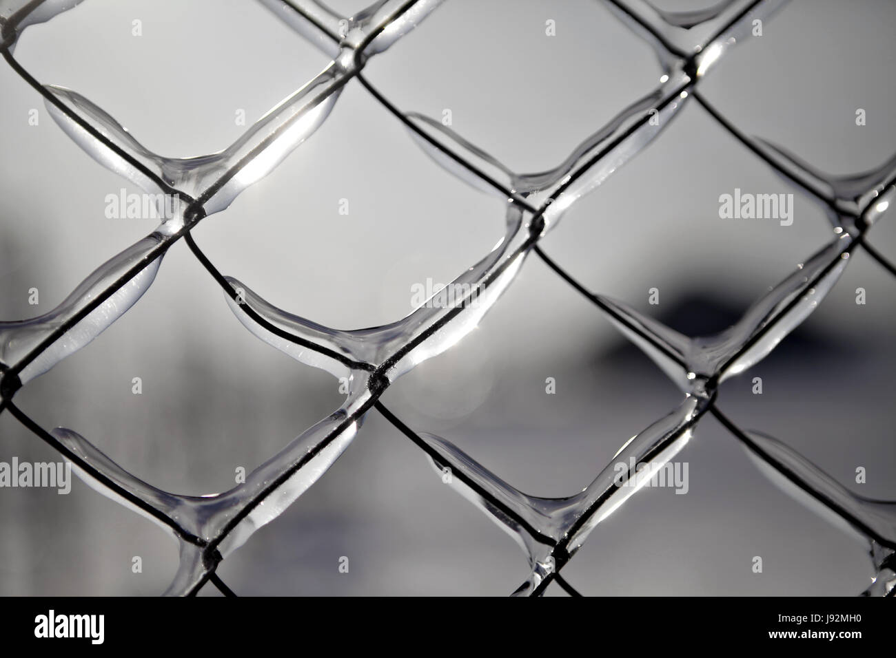 winter, frost, frozen, nature, fence, ice, light, beautiful ...