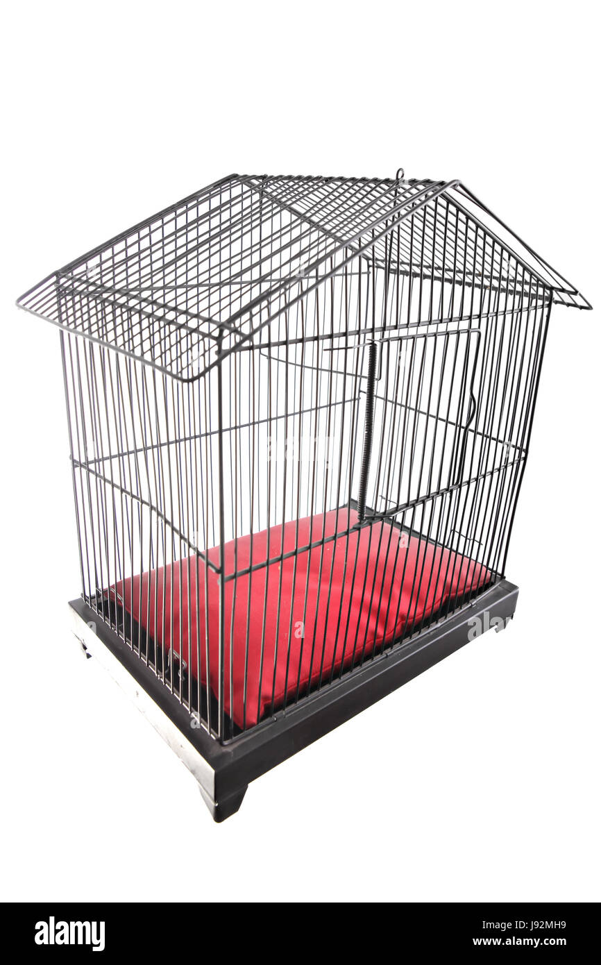 Transparent birdcage hi-res stock photography and images - Alamy