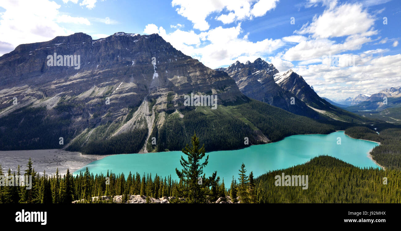 tree, trees, canada, landscape, scenery, countryside, nature, blue ...