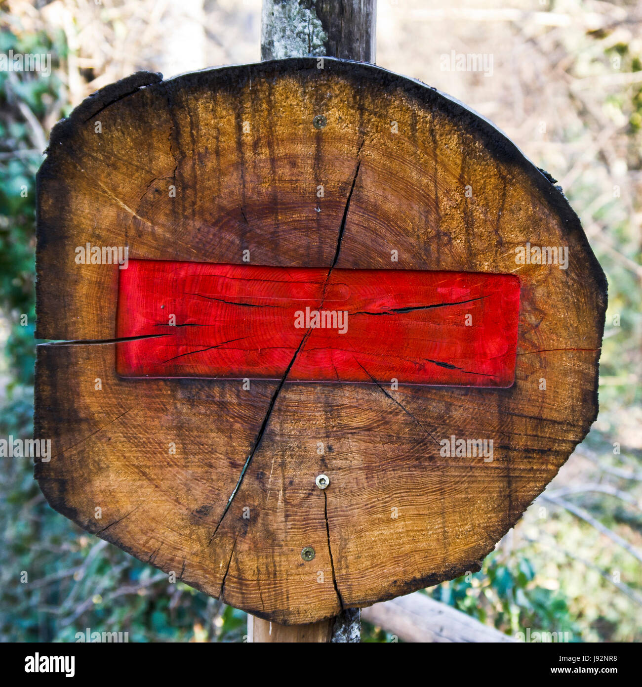 ban, sign, signal, prohibition sign, illegal, prohibited, tree, trunk ...