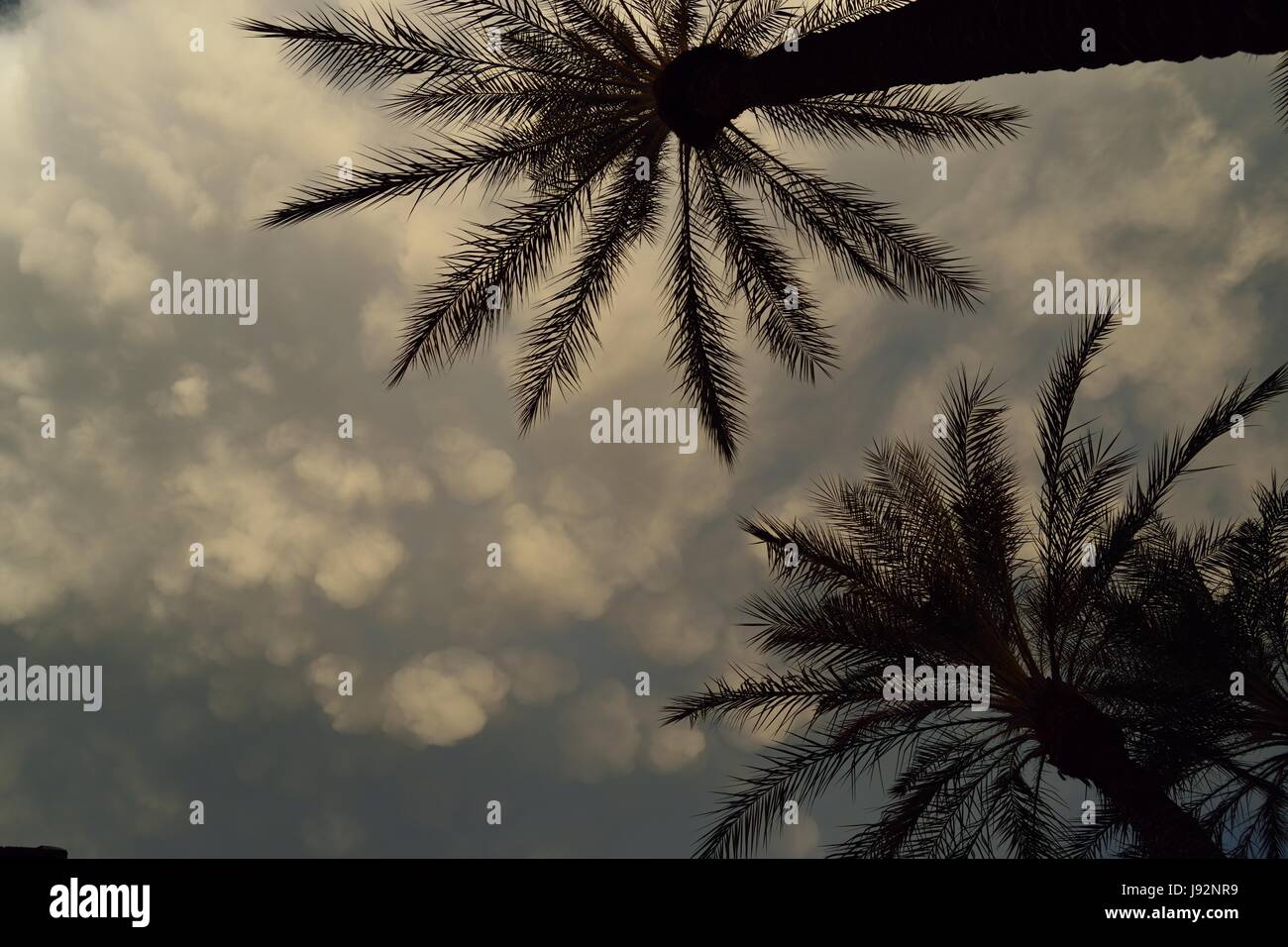 Monsoon Clouds and weather Stock Photo - Alamy