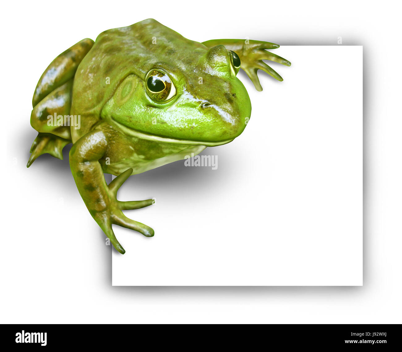 presentation, model, design, project, concept, plan, draft, closeup ...