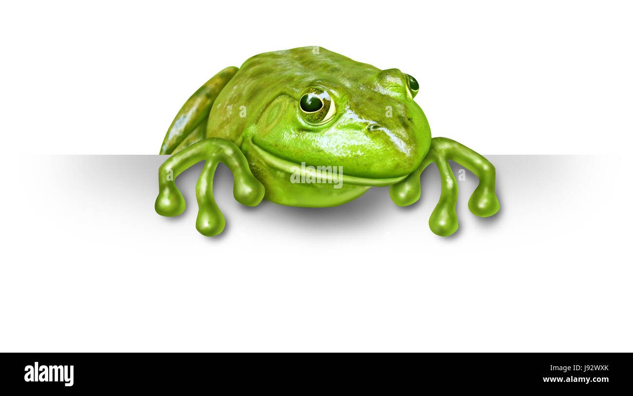 presentation, model, design, project, concept, plan, draft, closeup ...