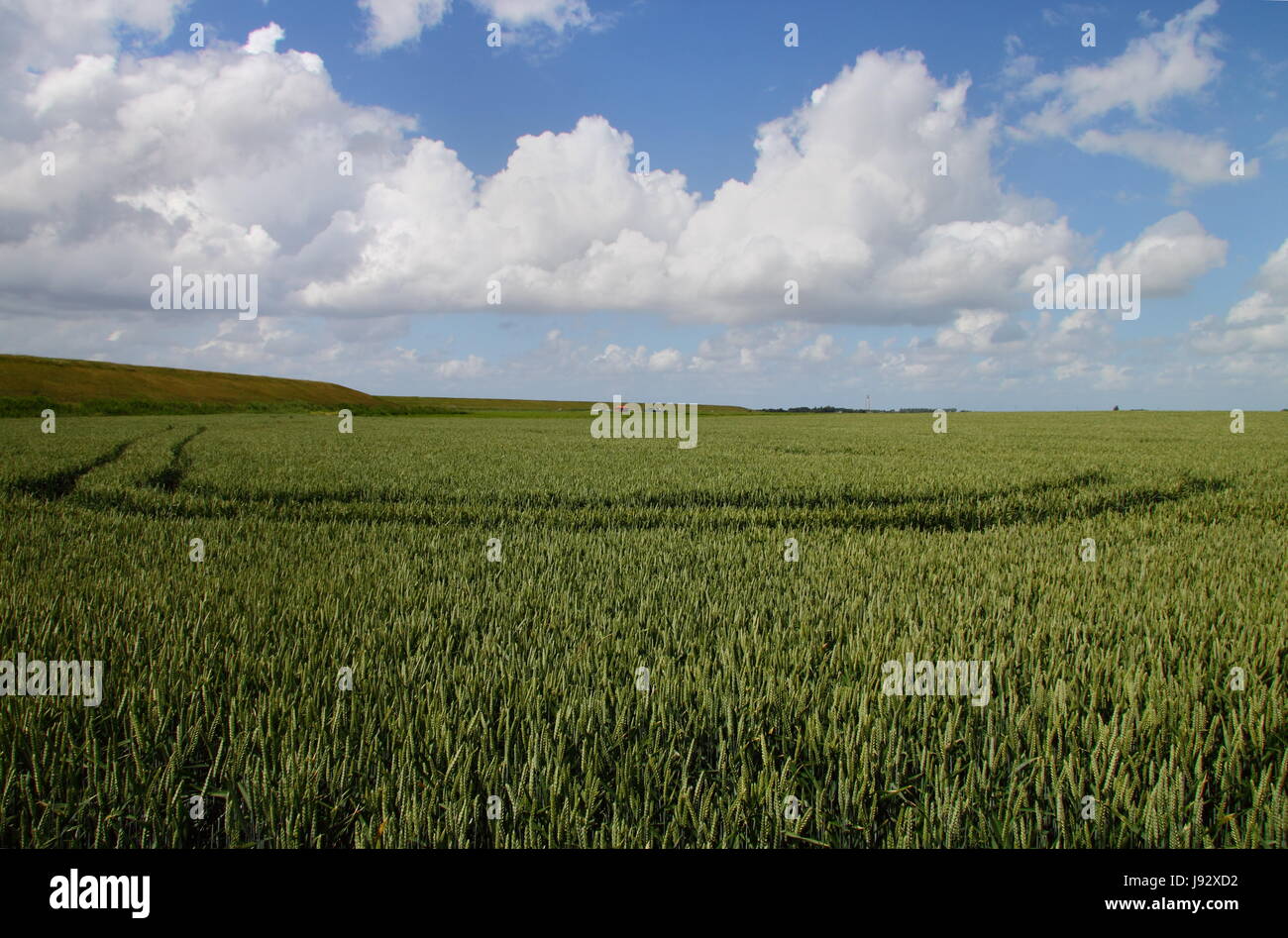 field, fields, acre, level, lowlands, dike, flat, firmament, sky, shine ...