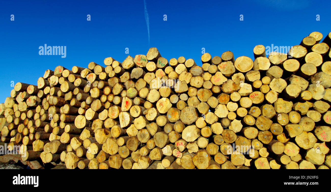 tree, wood, energy, power, electricity, electric power, raw material ...