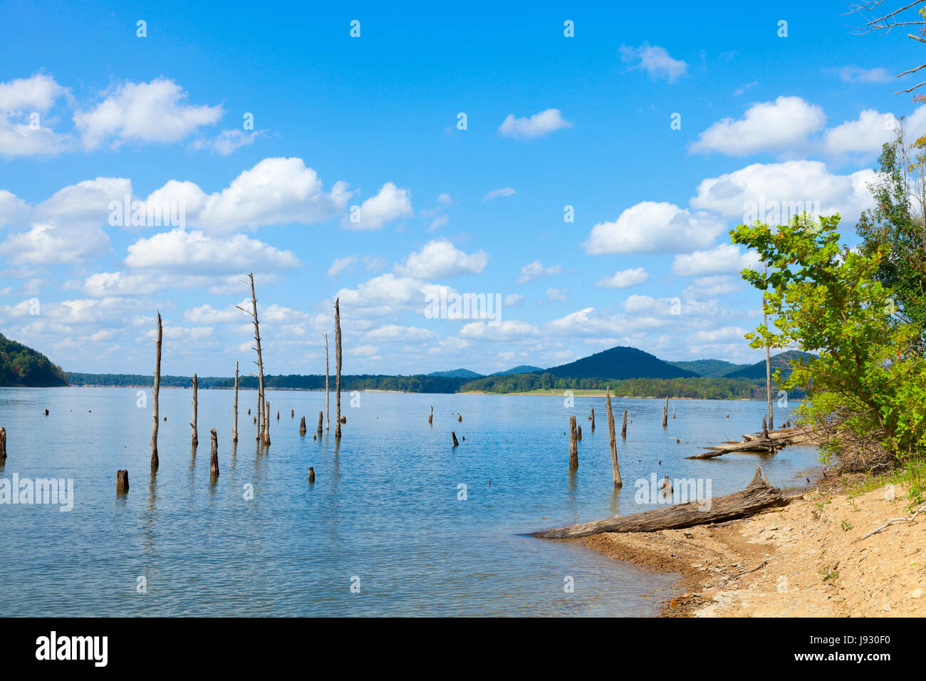 environment, enviroment, tree, trees, cave, fresh water, lake, inland ...