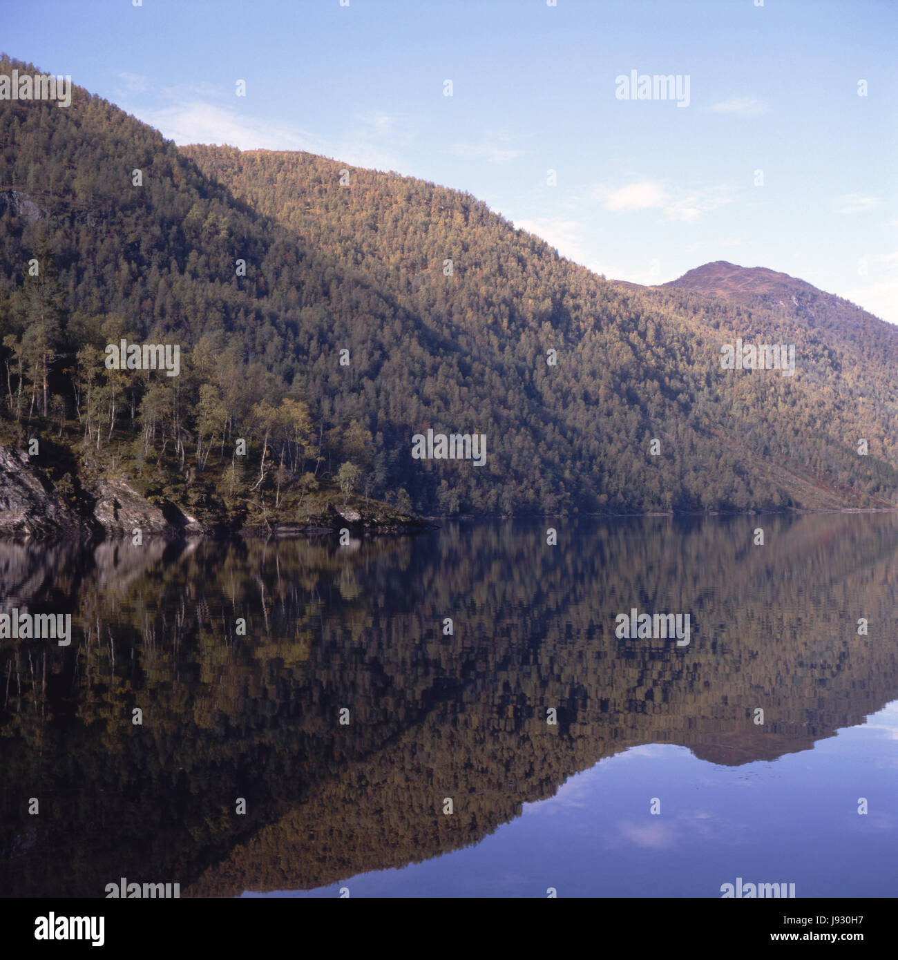 reflection, norway, scandinavia, calm, fresh water, lake, inland water ...