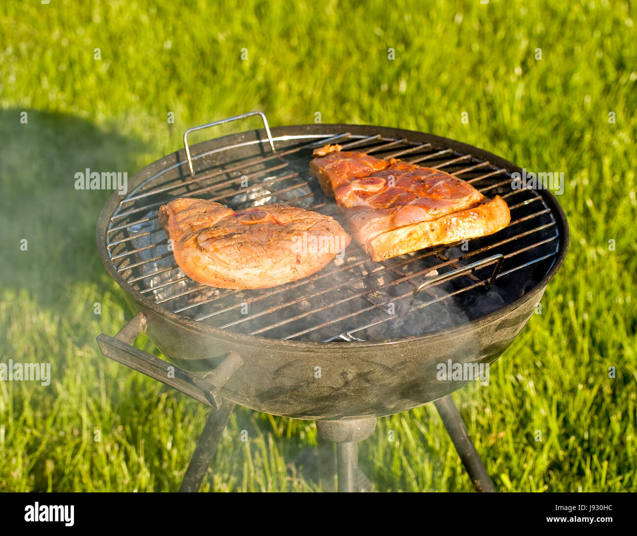 food, dish, meal, grill, barbecue, barbeque, lunch, supper, dinner, bbq ...