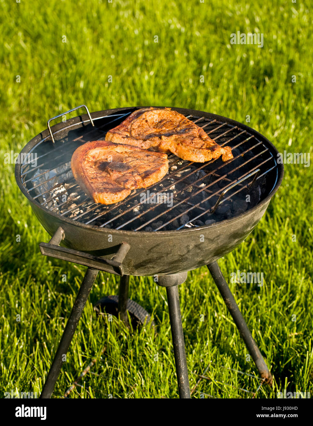 grill, barbecue, barbeque, food, dish, meal, lunch, supper, dinner, bbq ...