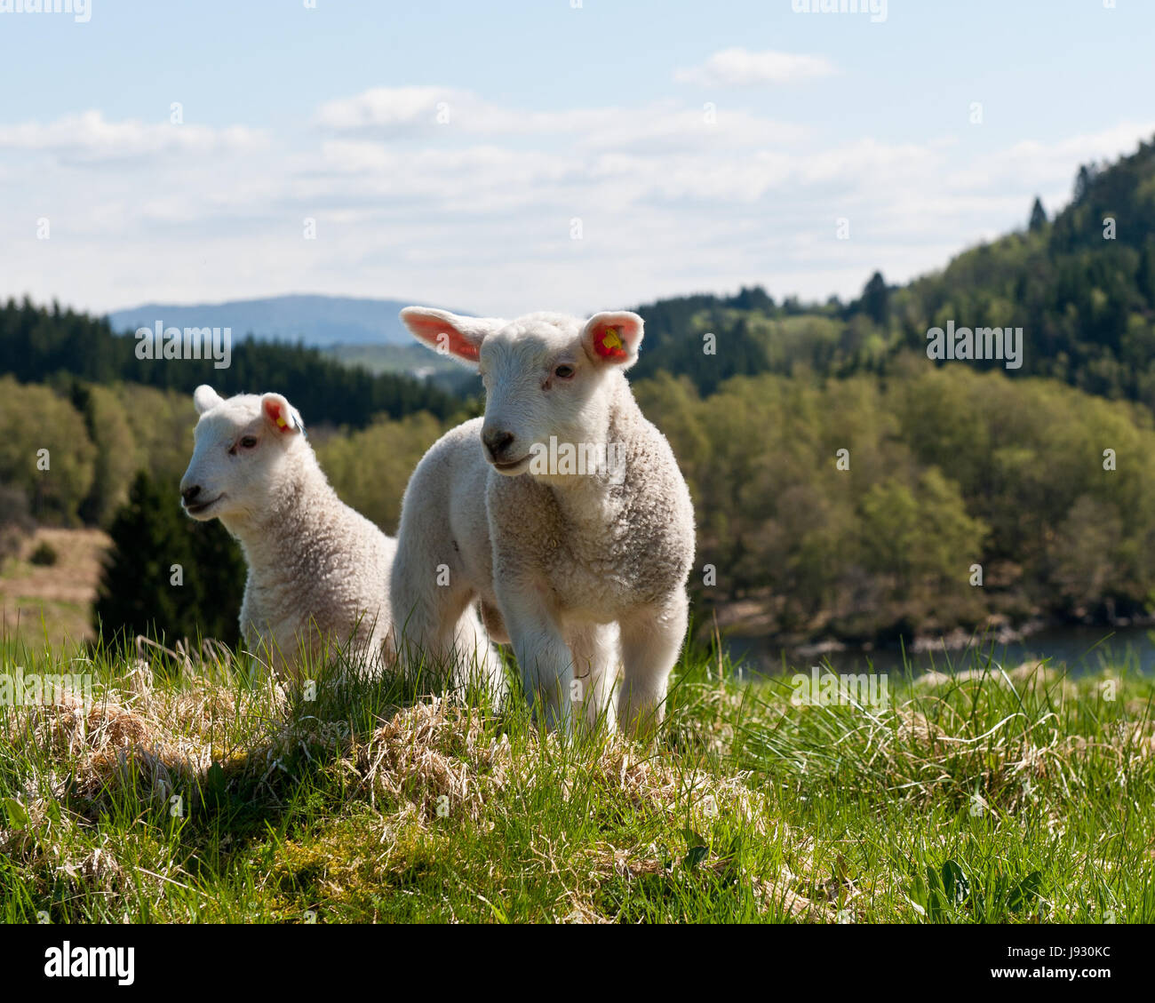 Acgriculture hi-res stock photography and images - Alamy