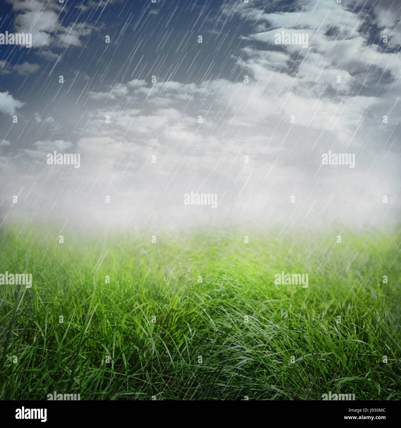 spring, season, rain, meadow, grass, lawn, green, nature, raining, art ...