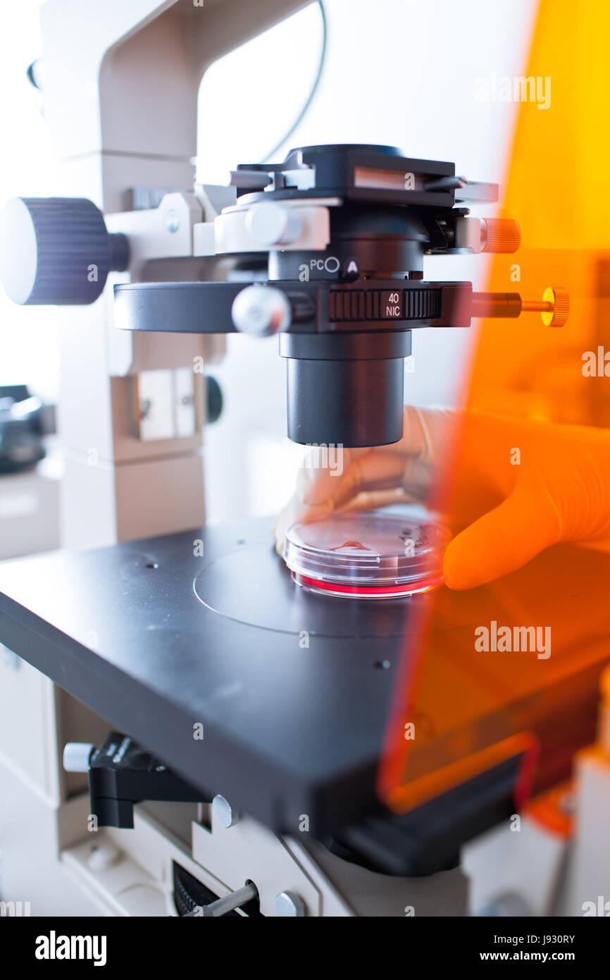 science, research, clinic, laboratory, chemistry, biology, microscope ...