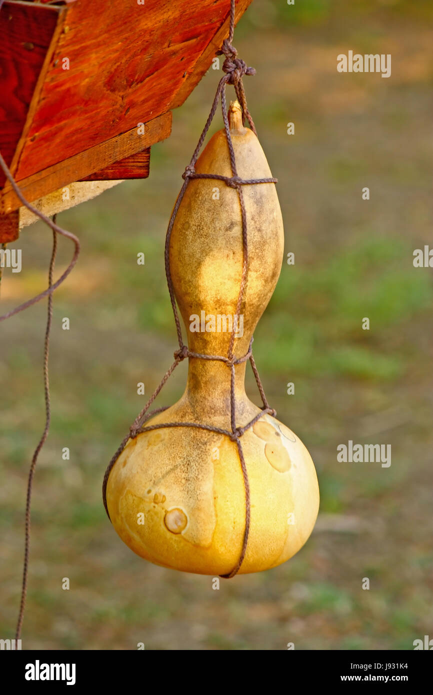 fruit, vegetable, string, packthreads, squash, flask, natural, vintage ...