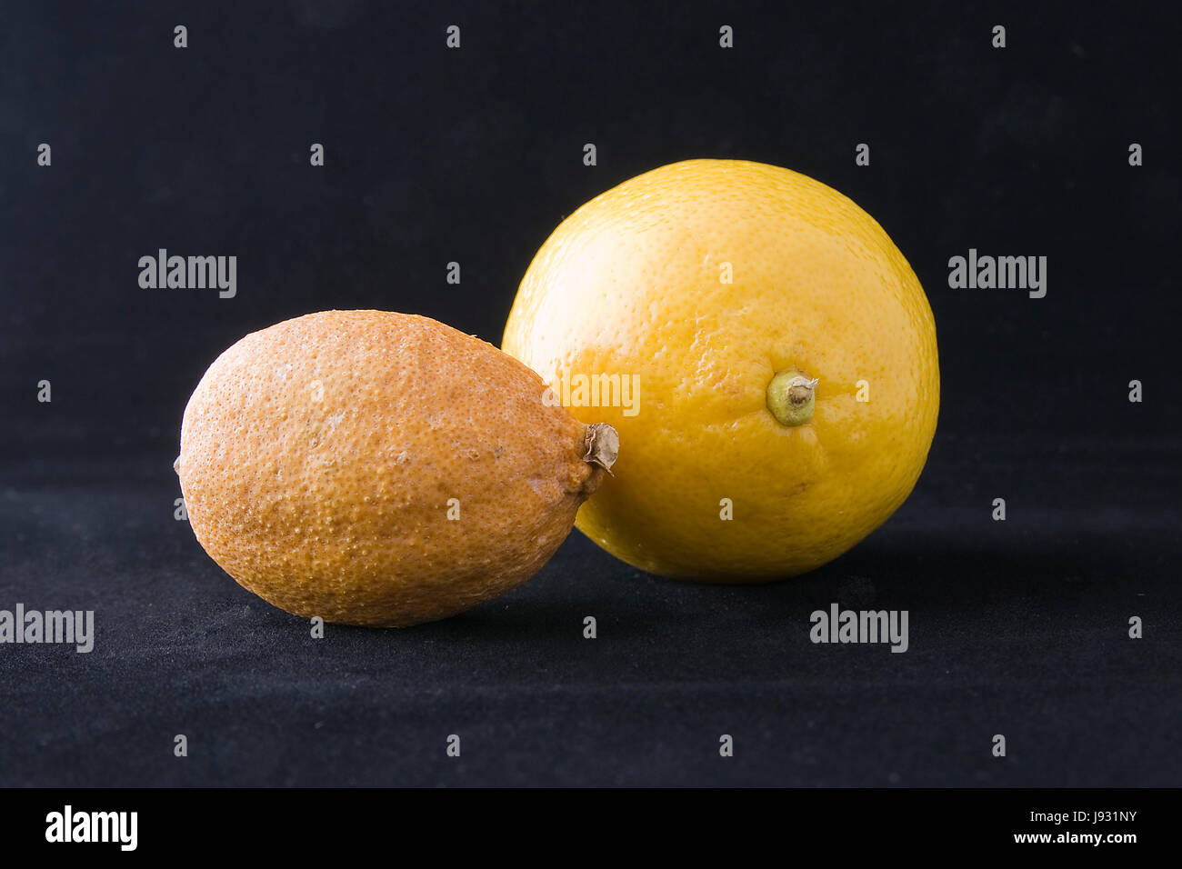 contrast, fruit, new, contrast, fruit, citrous fruit, sour, citric ...