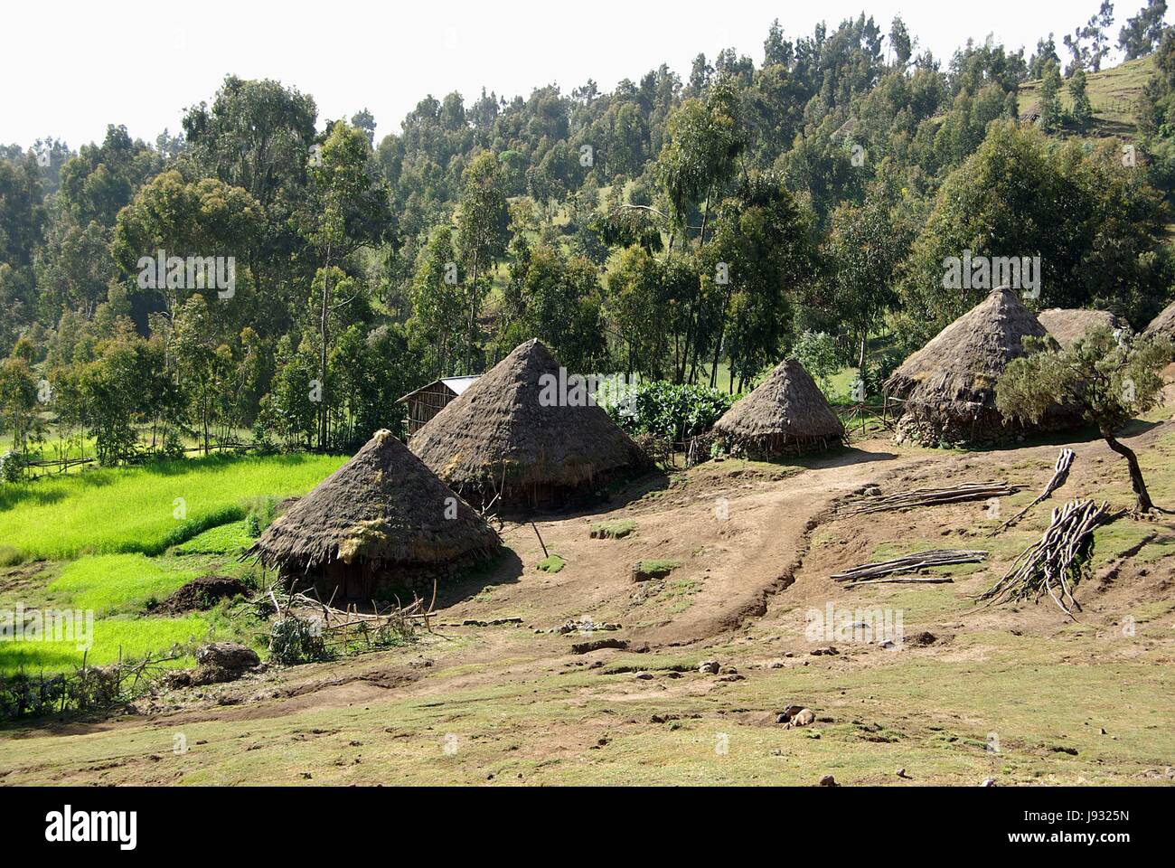 africa, traditional, community, village, market town, hut, house ...