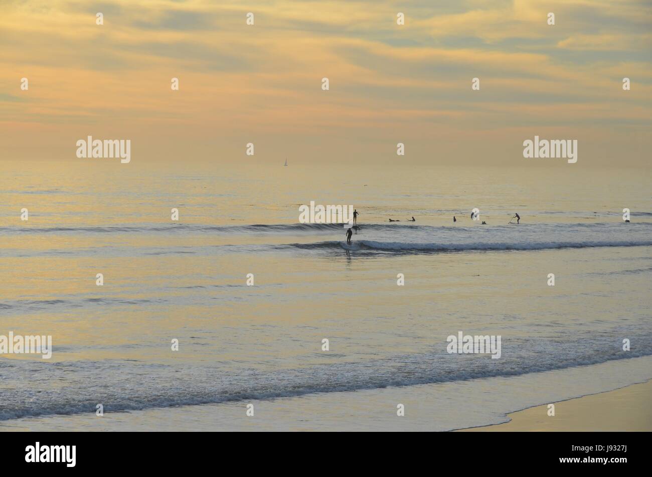 romantic, beach, seaside, the beach, seashore, usa, water, humans ...