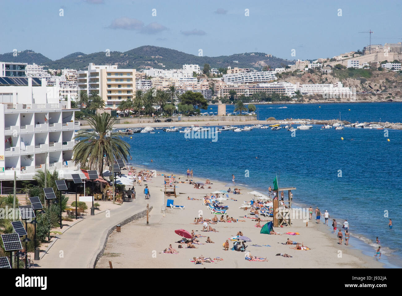 humans, human beings, people, folk, persons, human, human being, beach ...