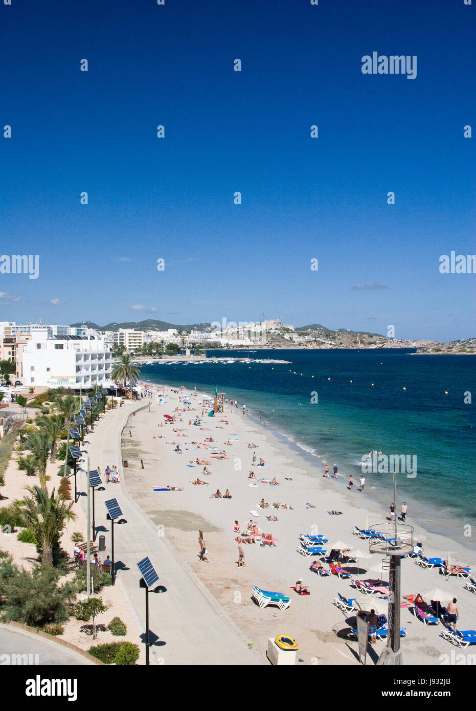 humans, human beings, people, folk, persons, human, human being, beach ...