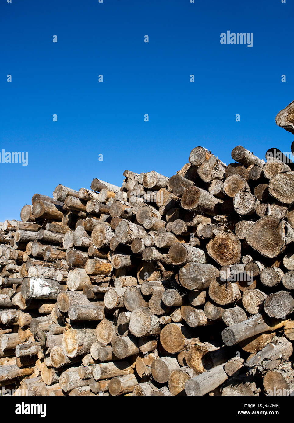 blue, closeup, tree, industry, wood, summer, summerly, timber, stack ...