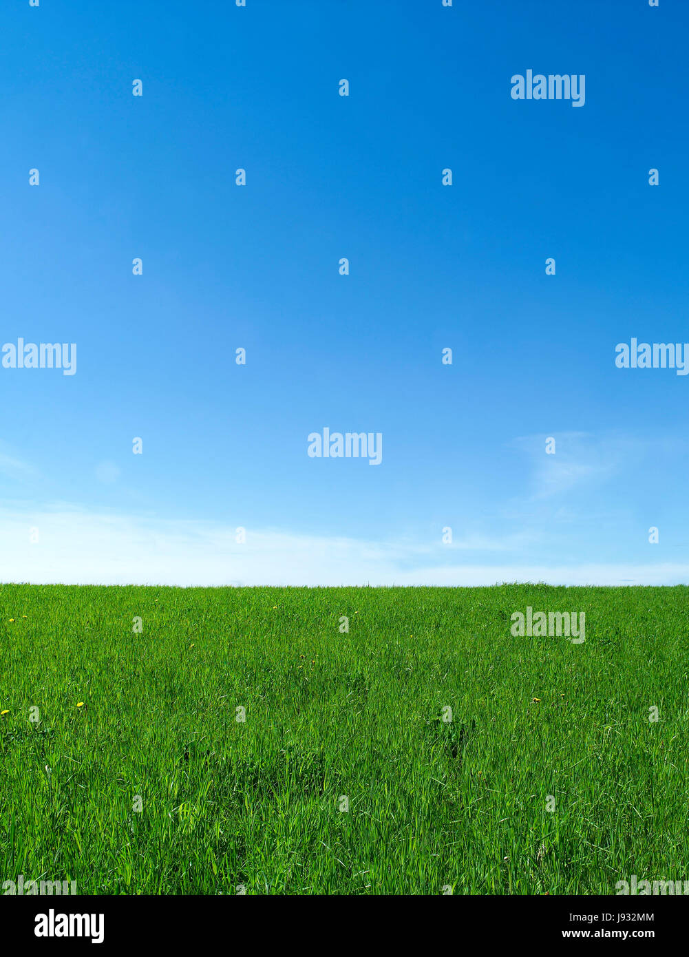 blue, environment, enviroment, horizon, cloud, field, summer, summerly ...