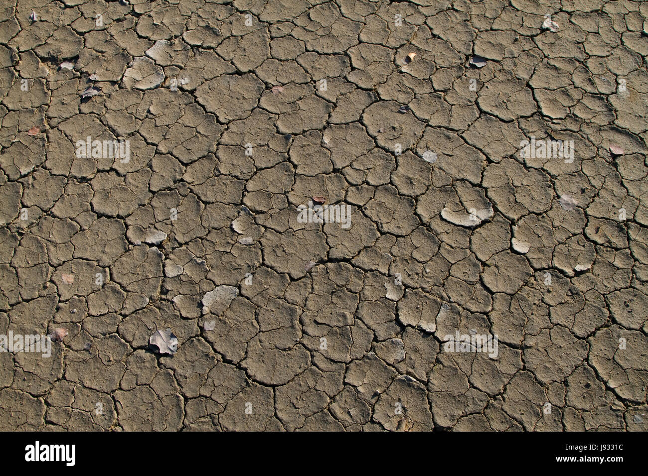 ground, soil, earth, humus, dirt, mud, ecology, damage, damages ...