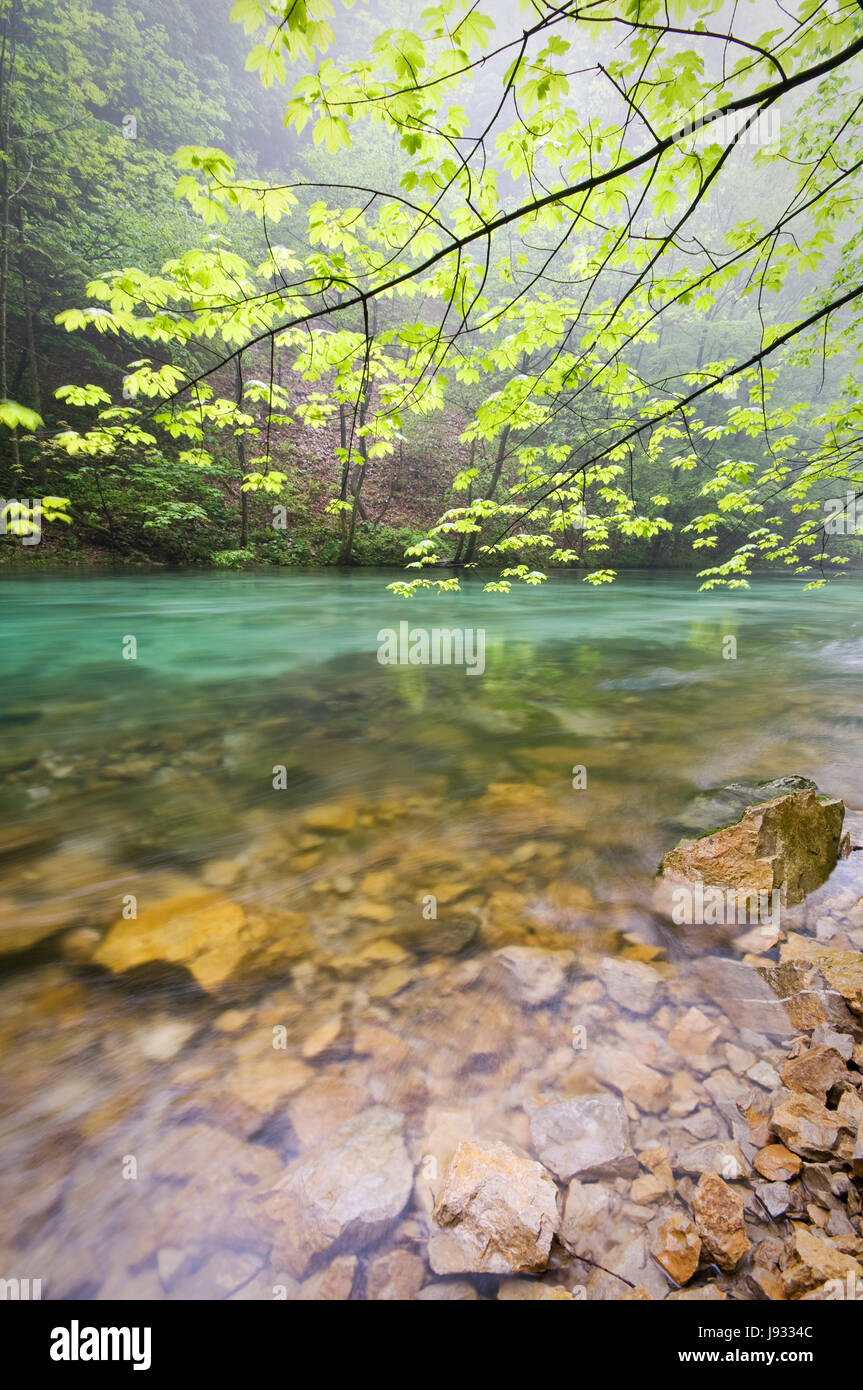 spring, Canyon, lawn, green, river, water, nature, environment ...