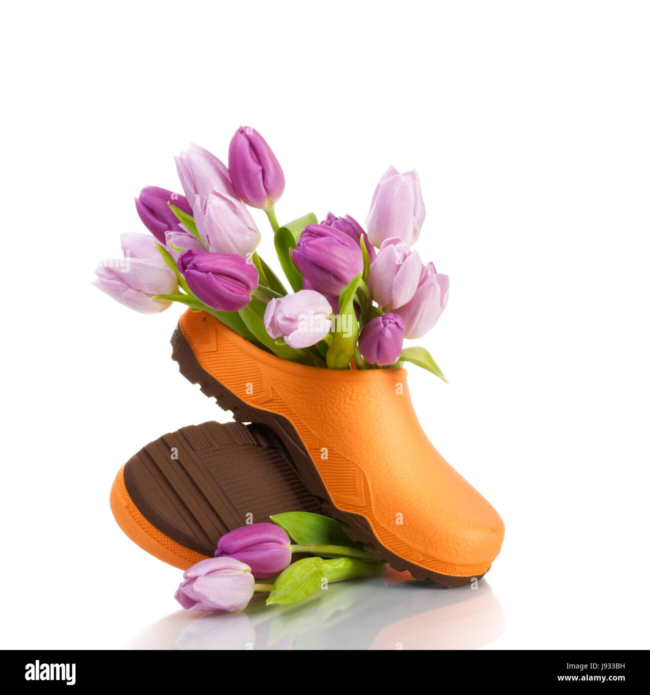 boot, arrangement, object, fashion, closeup, garden, flower, plant ...