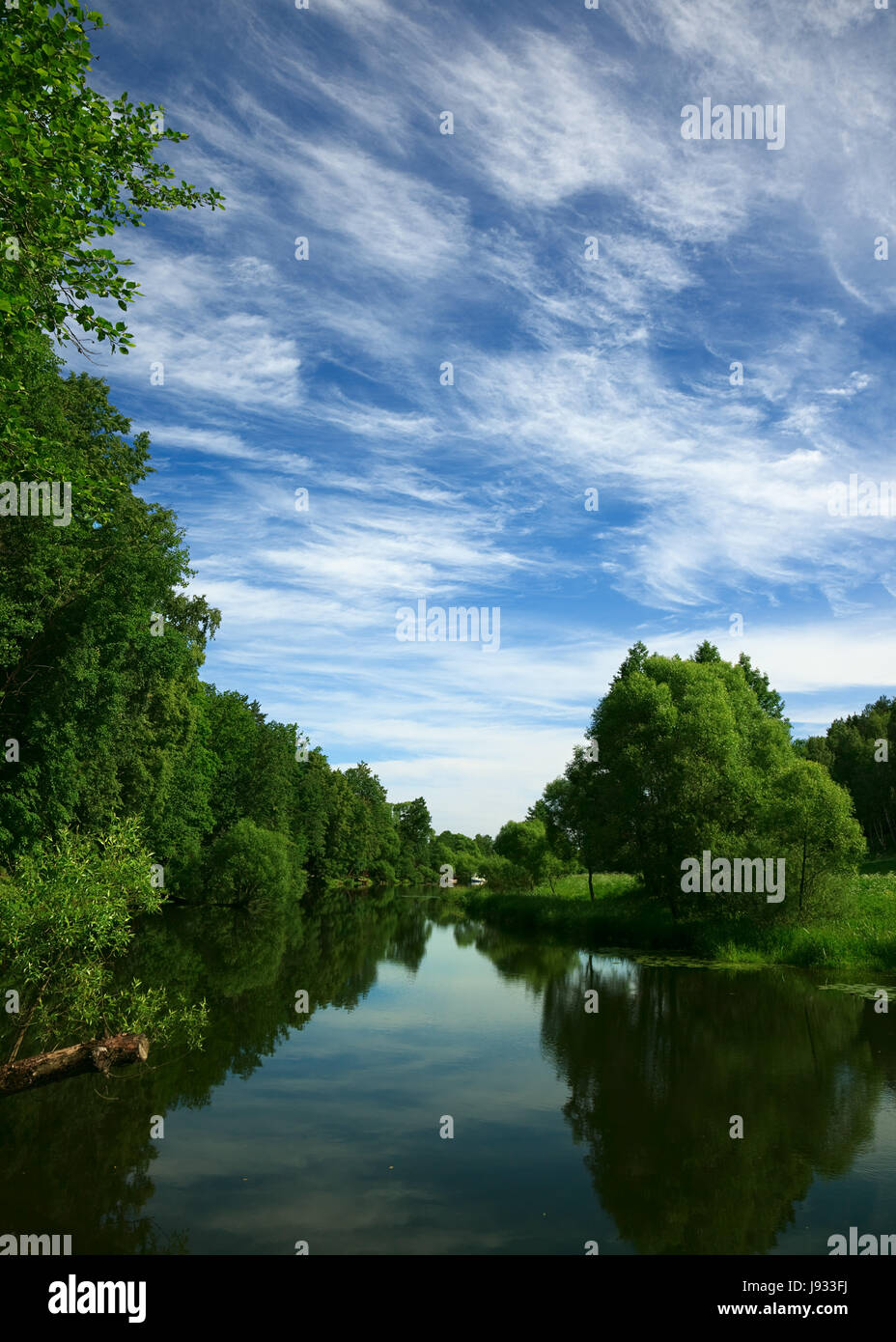 blue, environment, enviroment, tree, park, cloud, summer, summerly ...