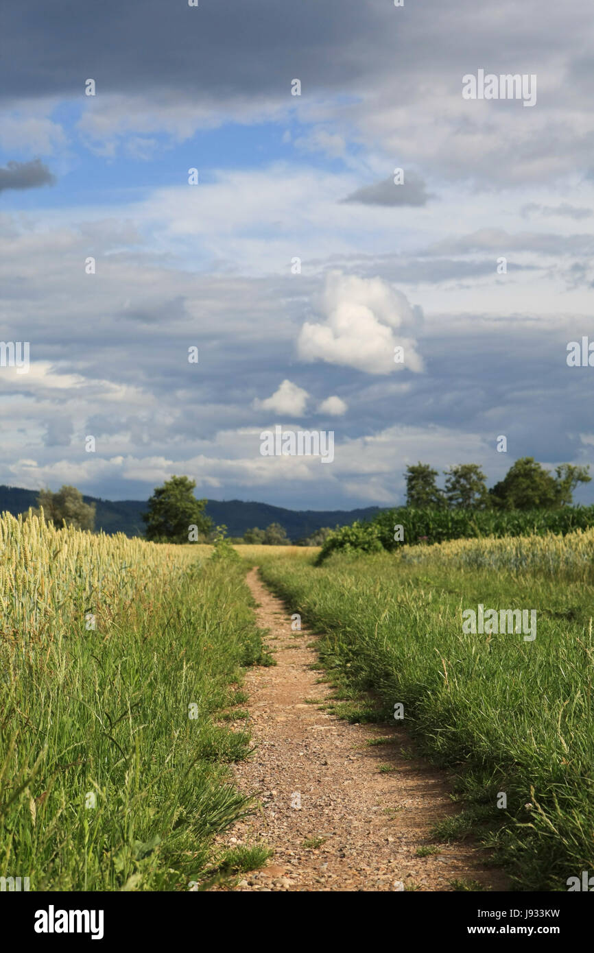 dirt road, field, acre, sight, view, outlook, perspective, vista ...