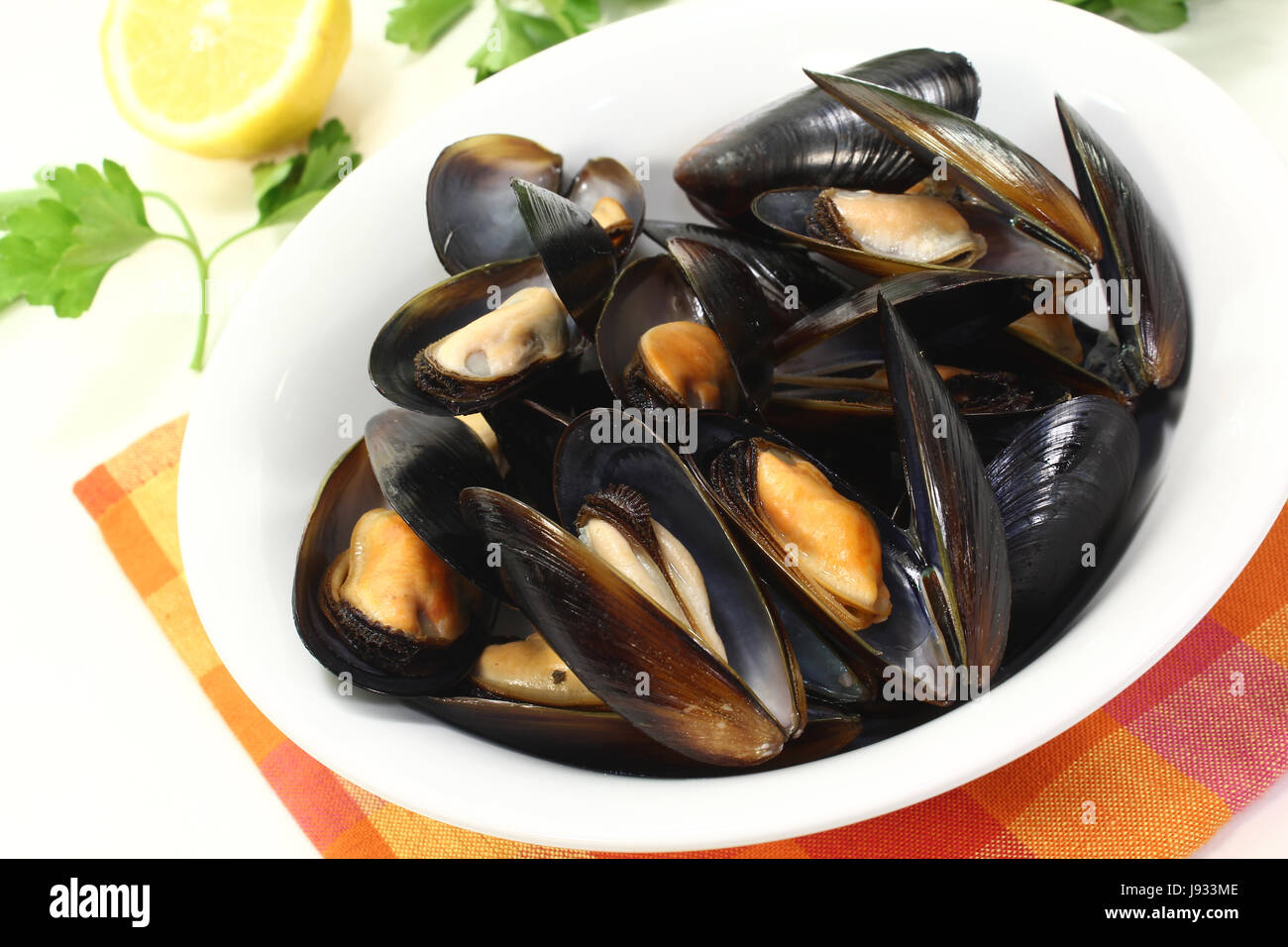 france, seafood, delicacy, squandering, waste, salt water, sea, ocean ...
