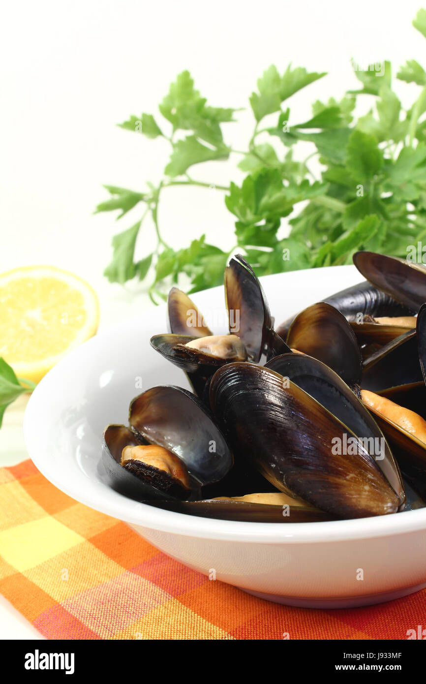 france, seafood, delicacy, squandering, waste, salt water, sea, ocean ...