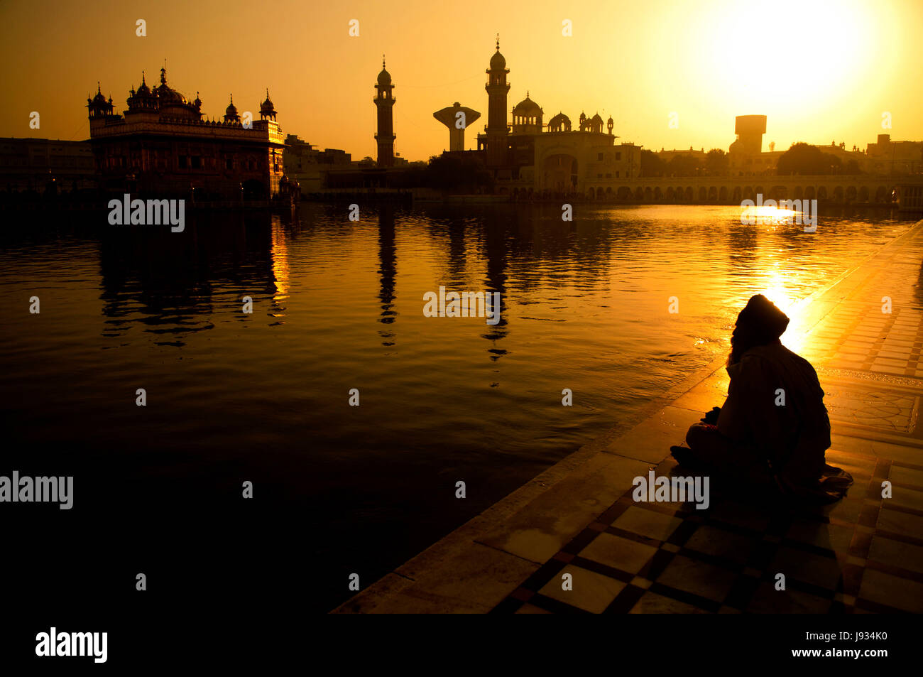 humans, human beings, people, folk, persons, human, human being ...