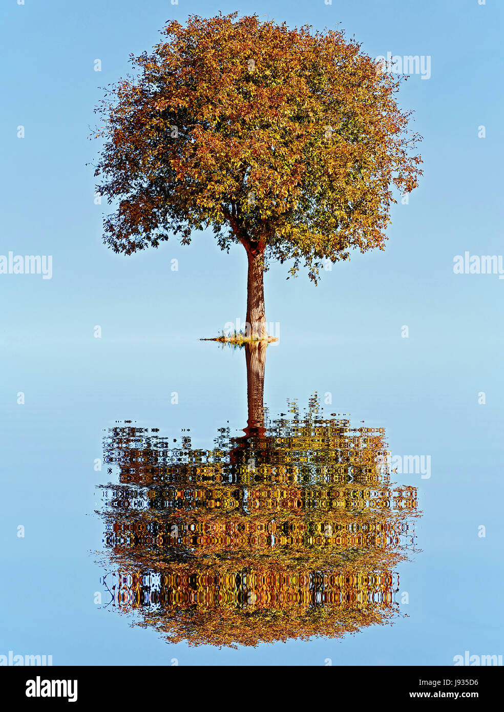 tree, waves, loneliness, water, nature, single, isle, island, tree ...