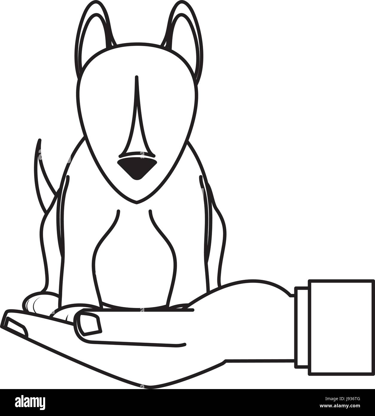 human hand holding dog pet veterinary concept vector illustration Stock ...