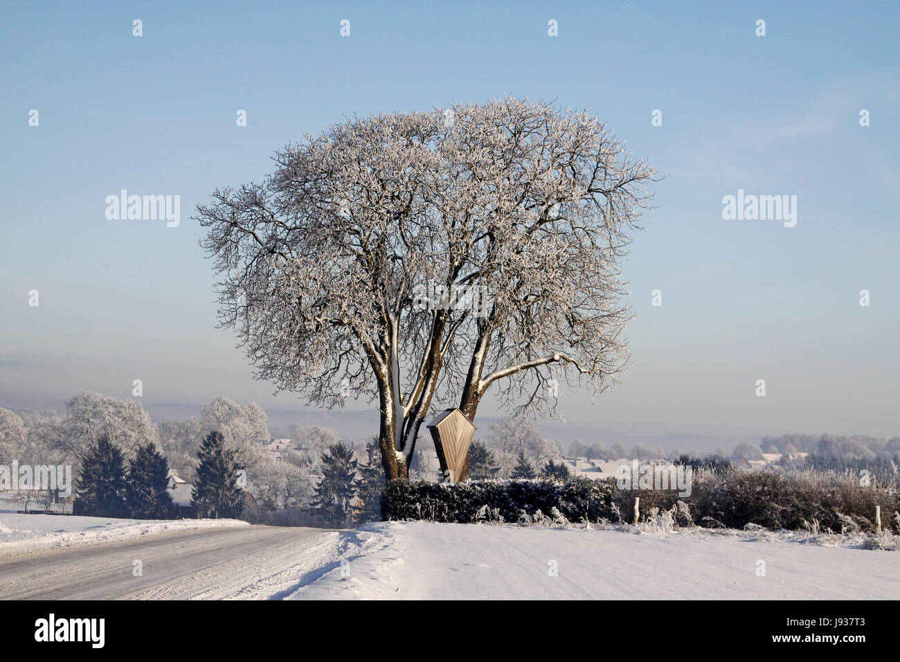 winter, snowy, lower saxony, street, road, scenery, countryside, nature ...