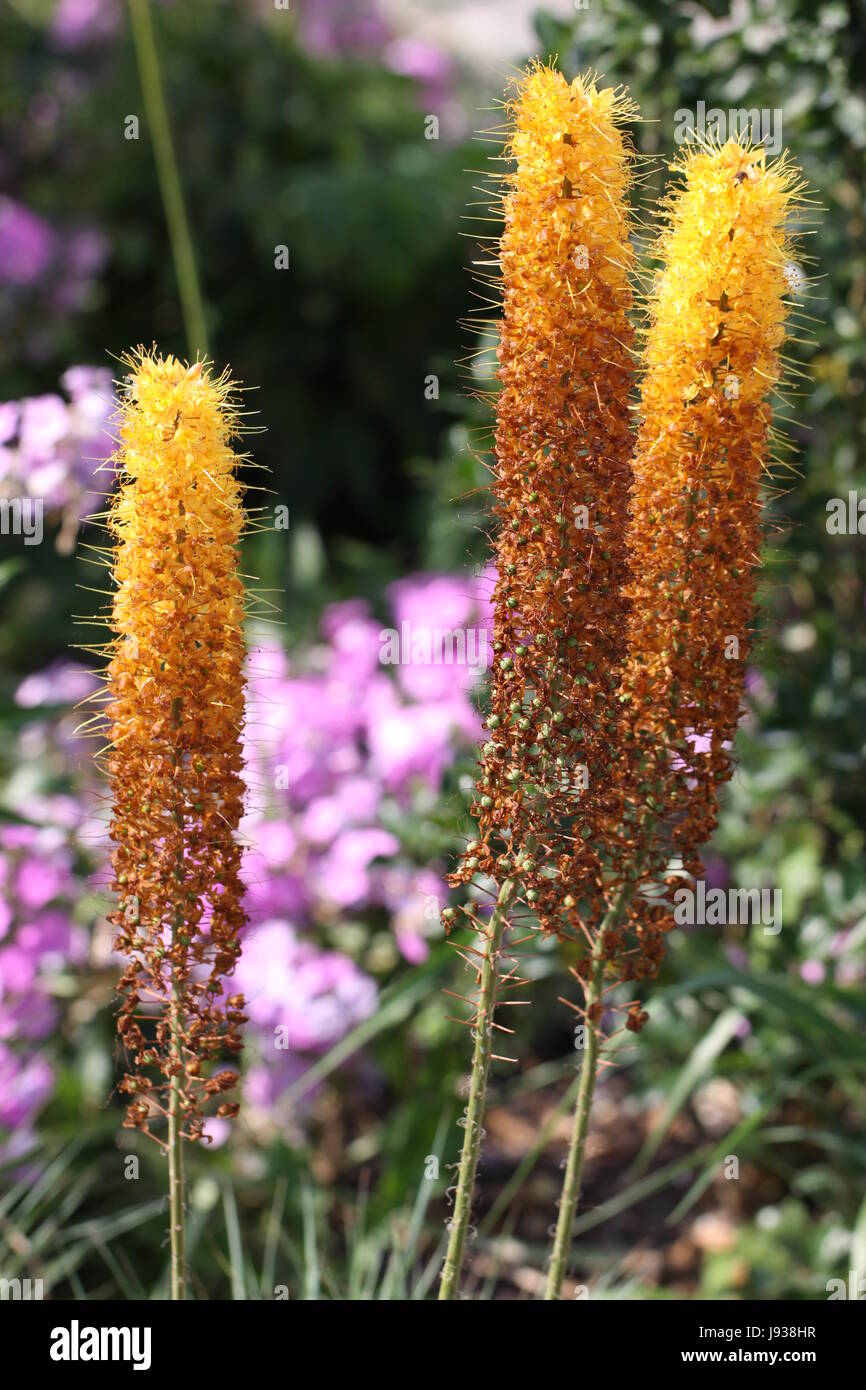 big, large, enormous, extreme, powerful, imposing, immense, relevant ...