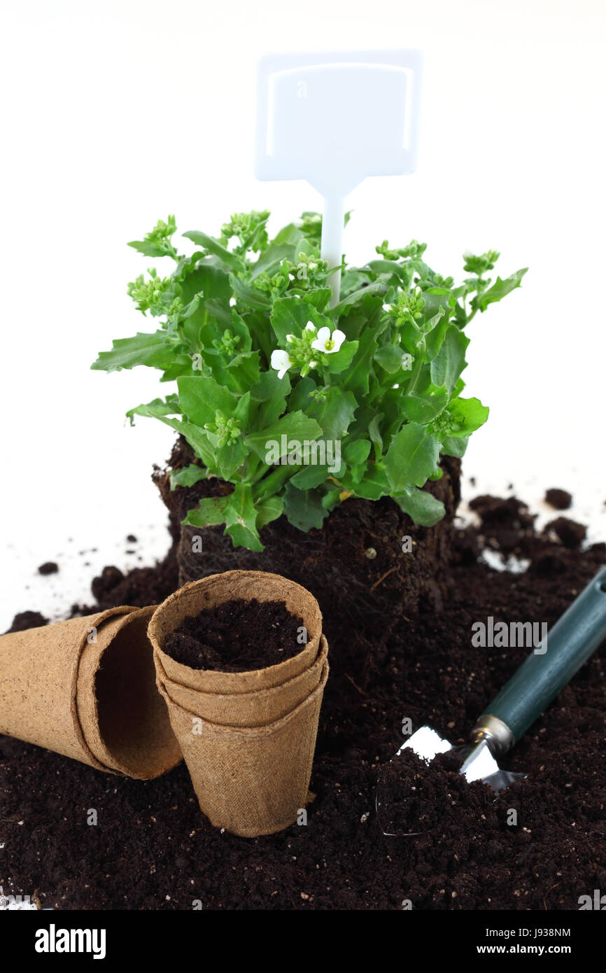 environment, enviroment, model, design, project, concept, plan, draft ...