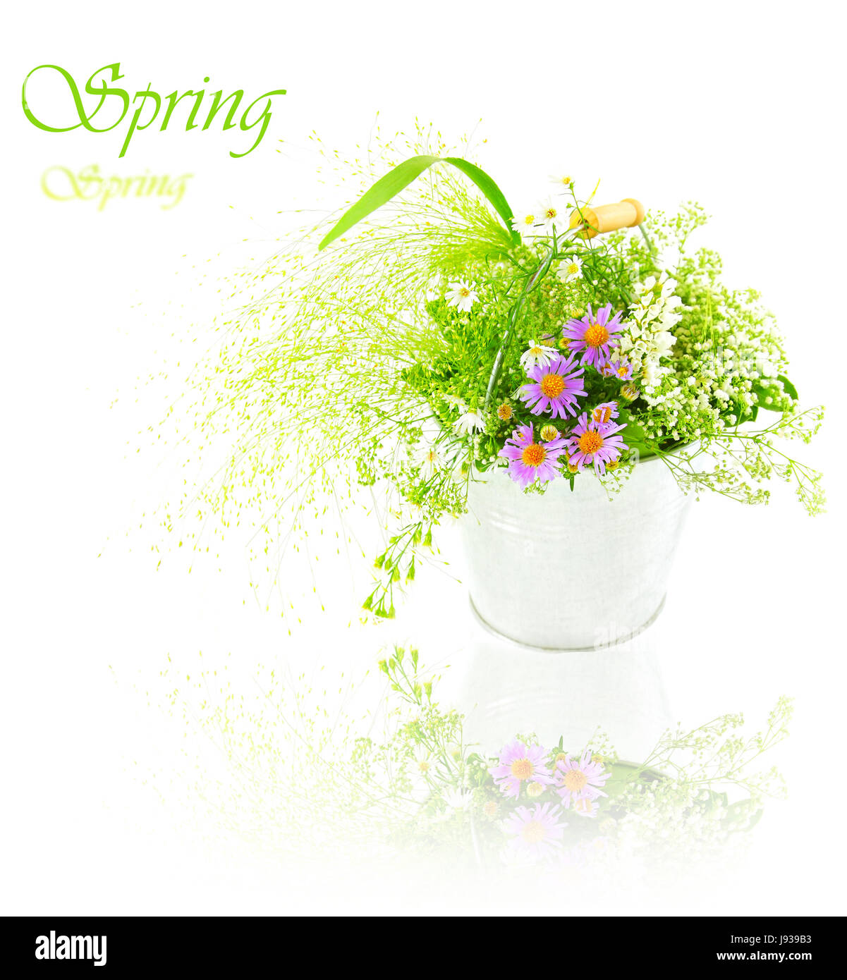 beautiful, beauteously, nice, leaf, isolated, closeup, garden, space ...