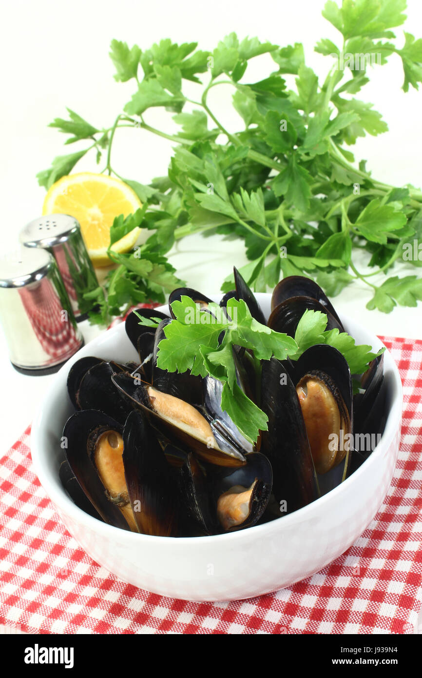 france, seafood, delicacy, squandering, waste, salt water, sea, ocean ...