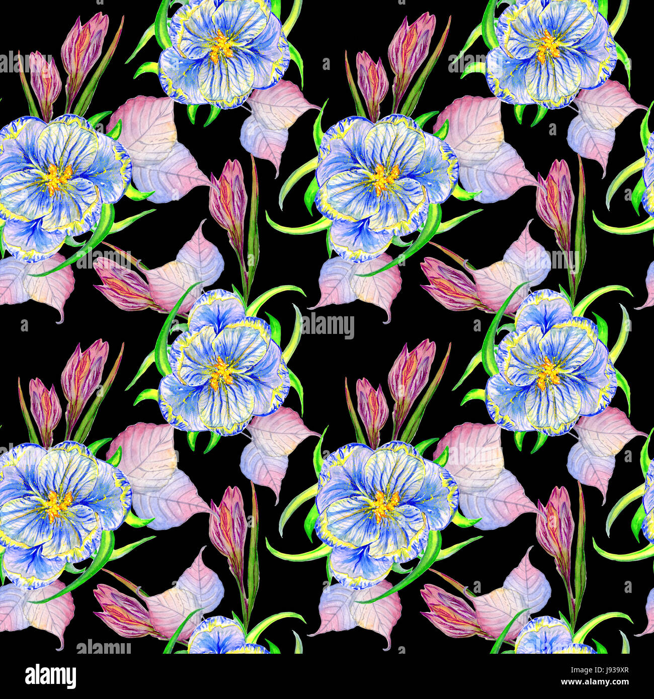 Wildflower crocuses flower pattern in a watercolor style isolated Stock ...