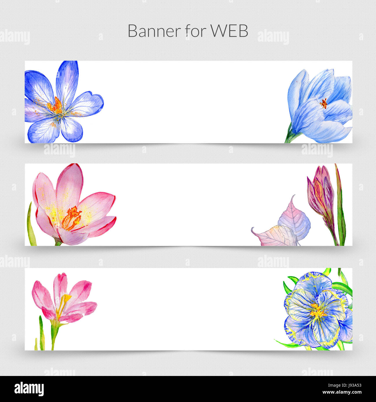Wildflower crocuses promo sale web banner template in a watercolor ...