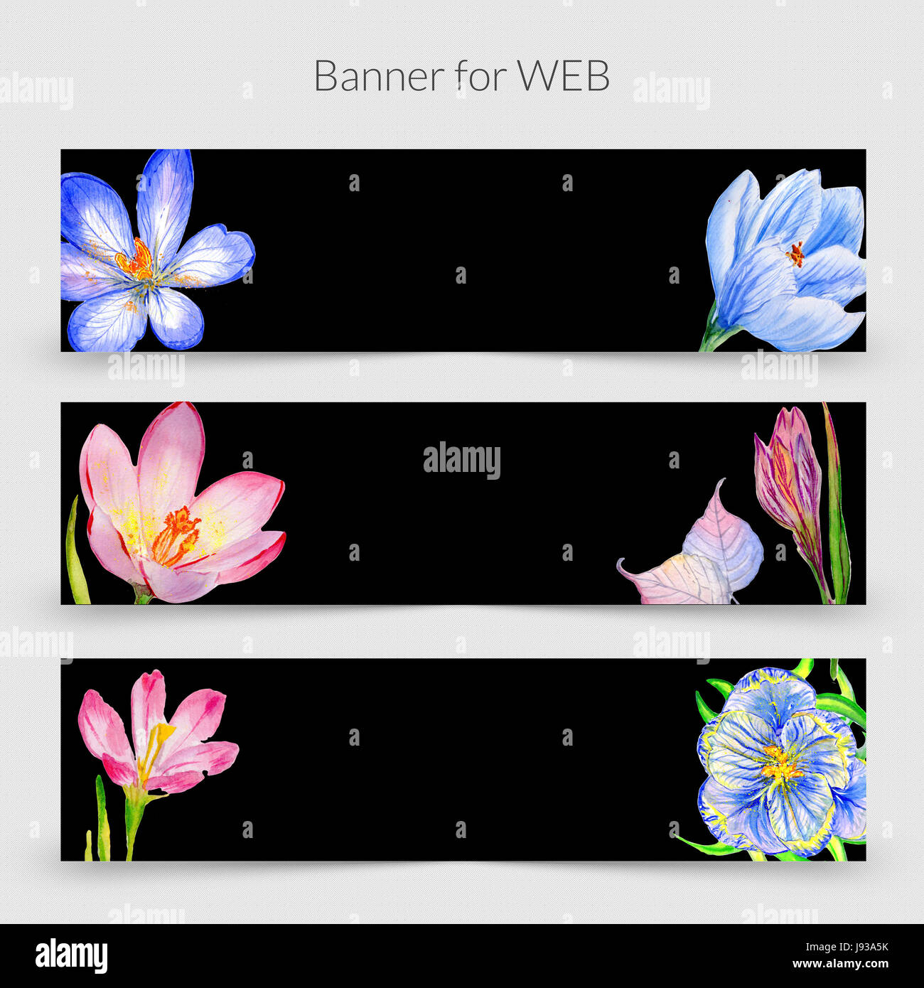Wildflower crocuses promo sale web banner template in a watercolor ...