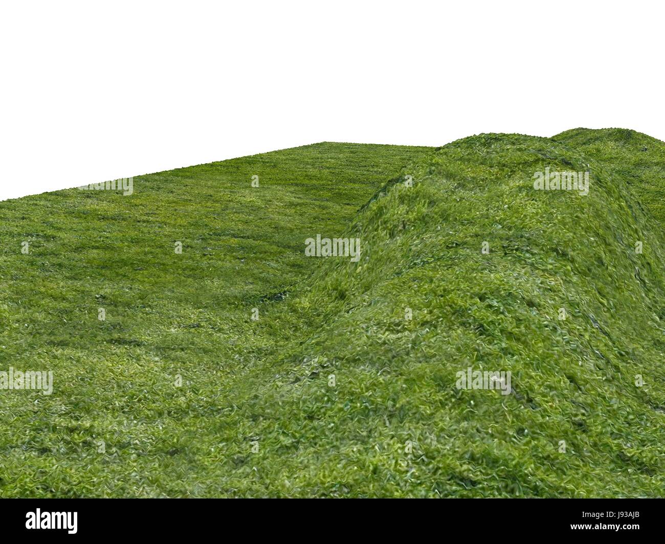 colour, hill, summer, summerly, illustration, color, render, meadow ...