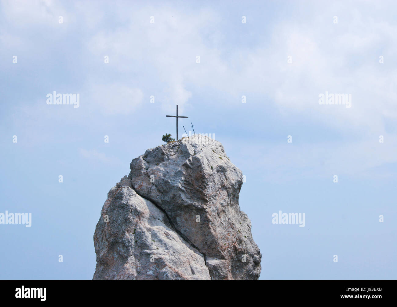 wild, cross, photo, camera, wildlife, image, picture, copy, deduction ...