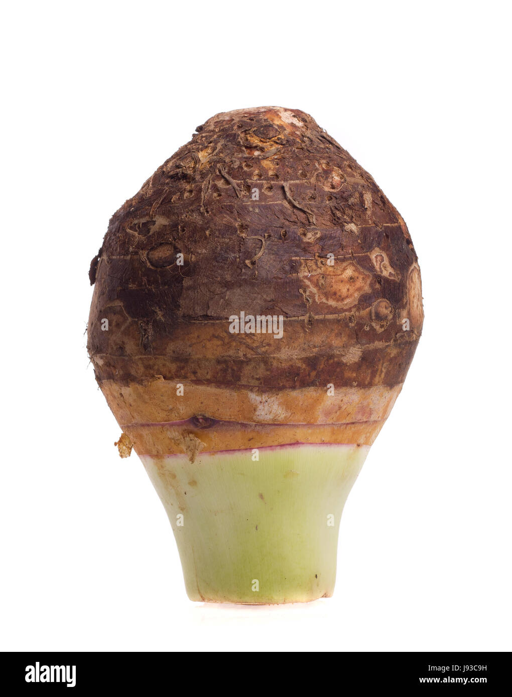 isolated, vegetable, yam, ingredient, single, isolated, horizontal ...